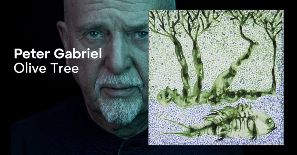 Song 08: "Olive Tree" (1 August 2023) - Peter Gabriel : Genesis News ...