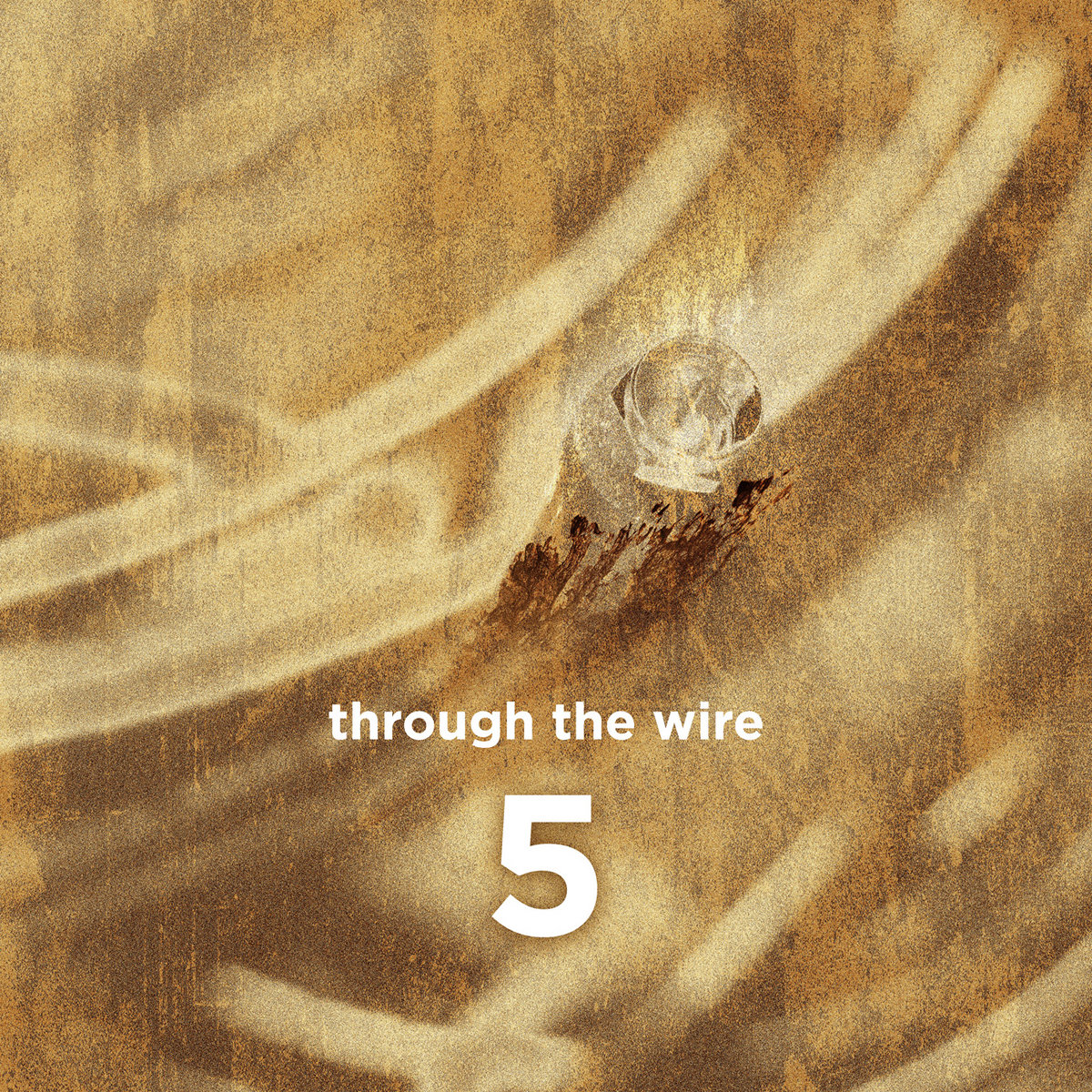 Through The Wire: Fifth Peter Gabriel tribute EP released - Genesis ...